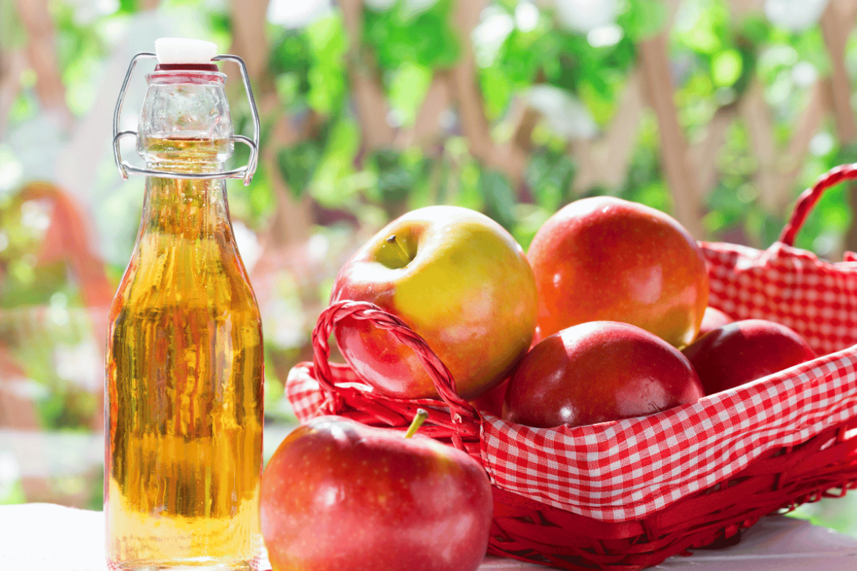 Apple Cider Drink for Weight Loss: My Honest Journey With This ...